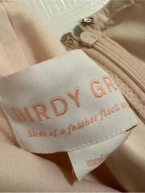 Birdy Grey | Dresses | Birdy Grey Blushnude Strapless Pleated Maxi ...